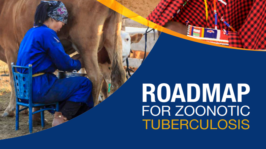 Roadmap for Zoonotic Tuberculosis | The Union